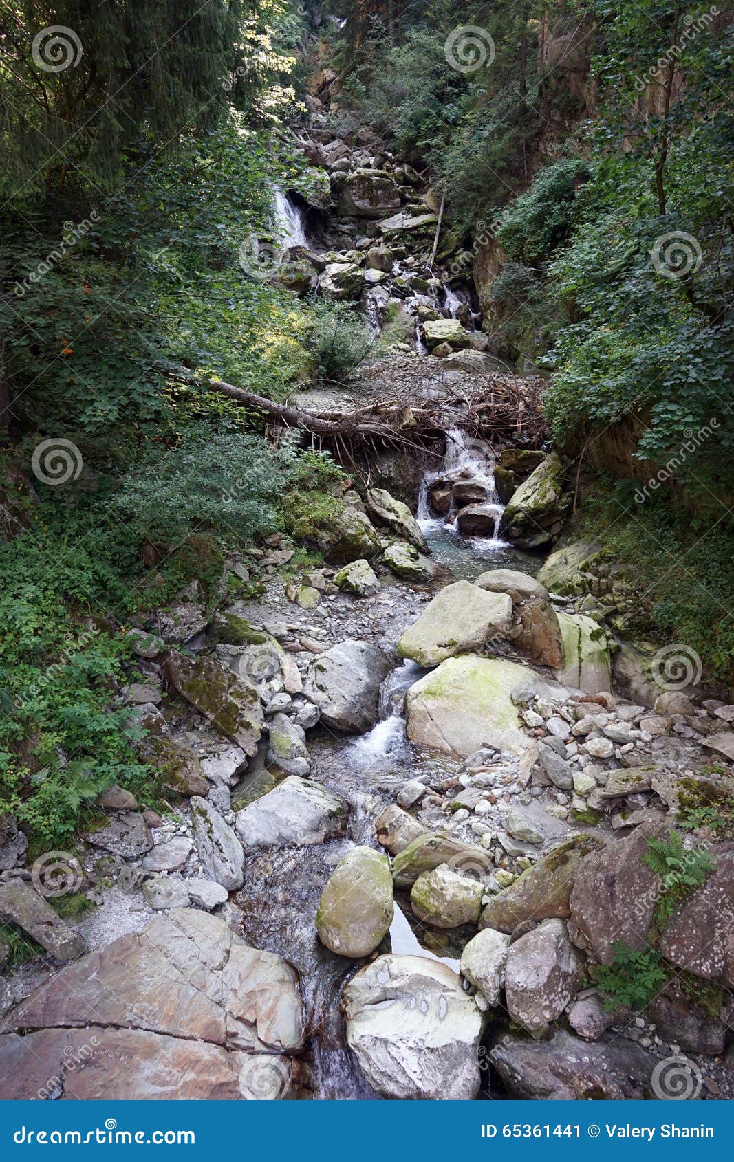 Small river stock image. Image of fallen, river, ravine - 65361441