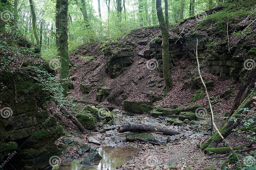 Small river in ravine stock image. Image of green, nature - 77174185