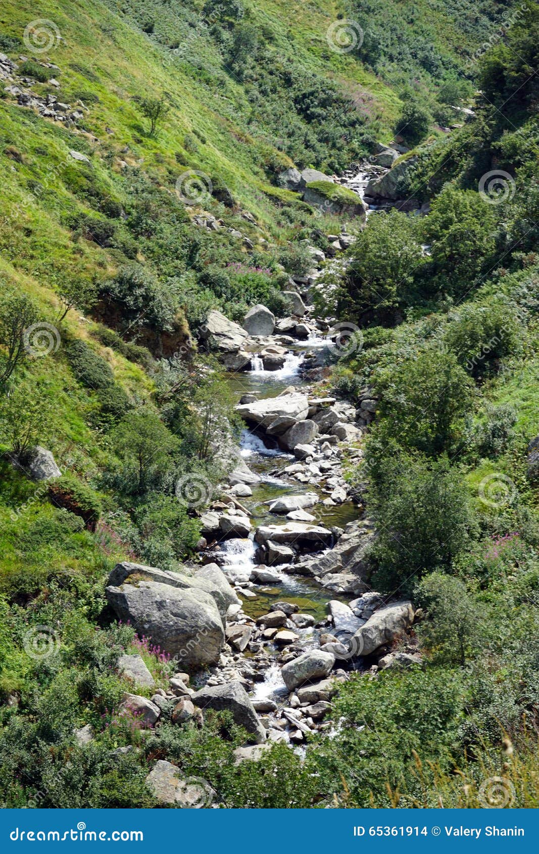 Small river stock photo. Image of water, ravine, alps - 65361914
