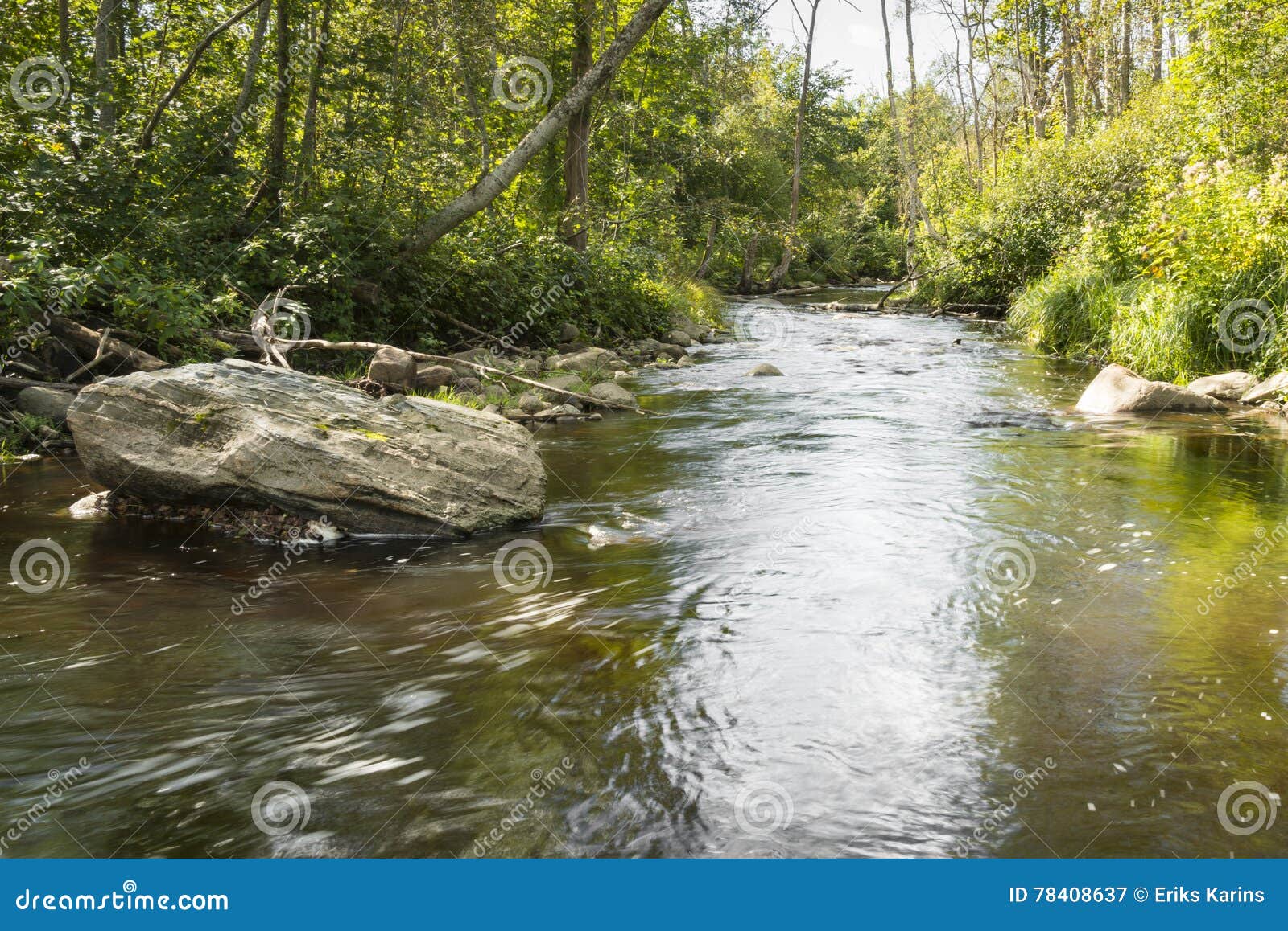 Small river with riffles stock image. Image of small - 78408637