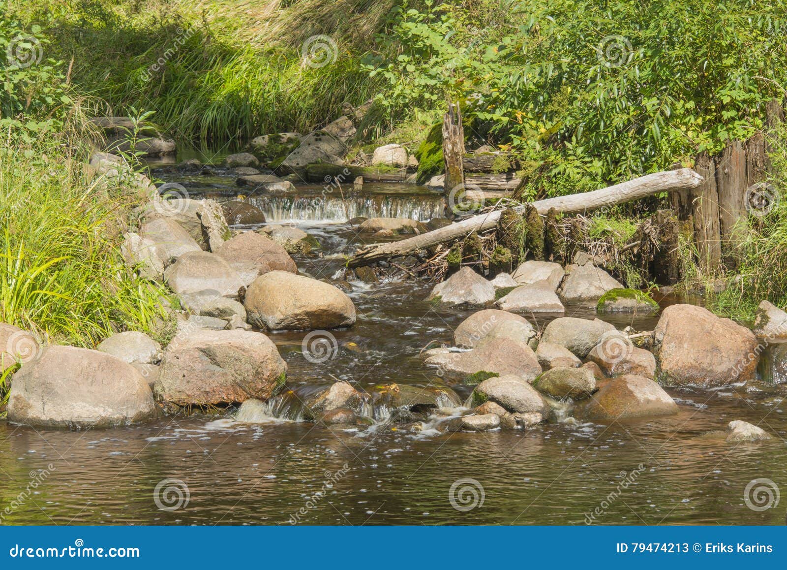 Small River with Riffles, Stones and Beam Stock Image - Image of ...