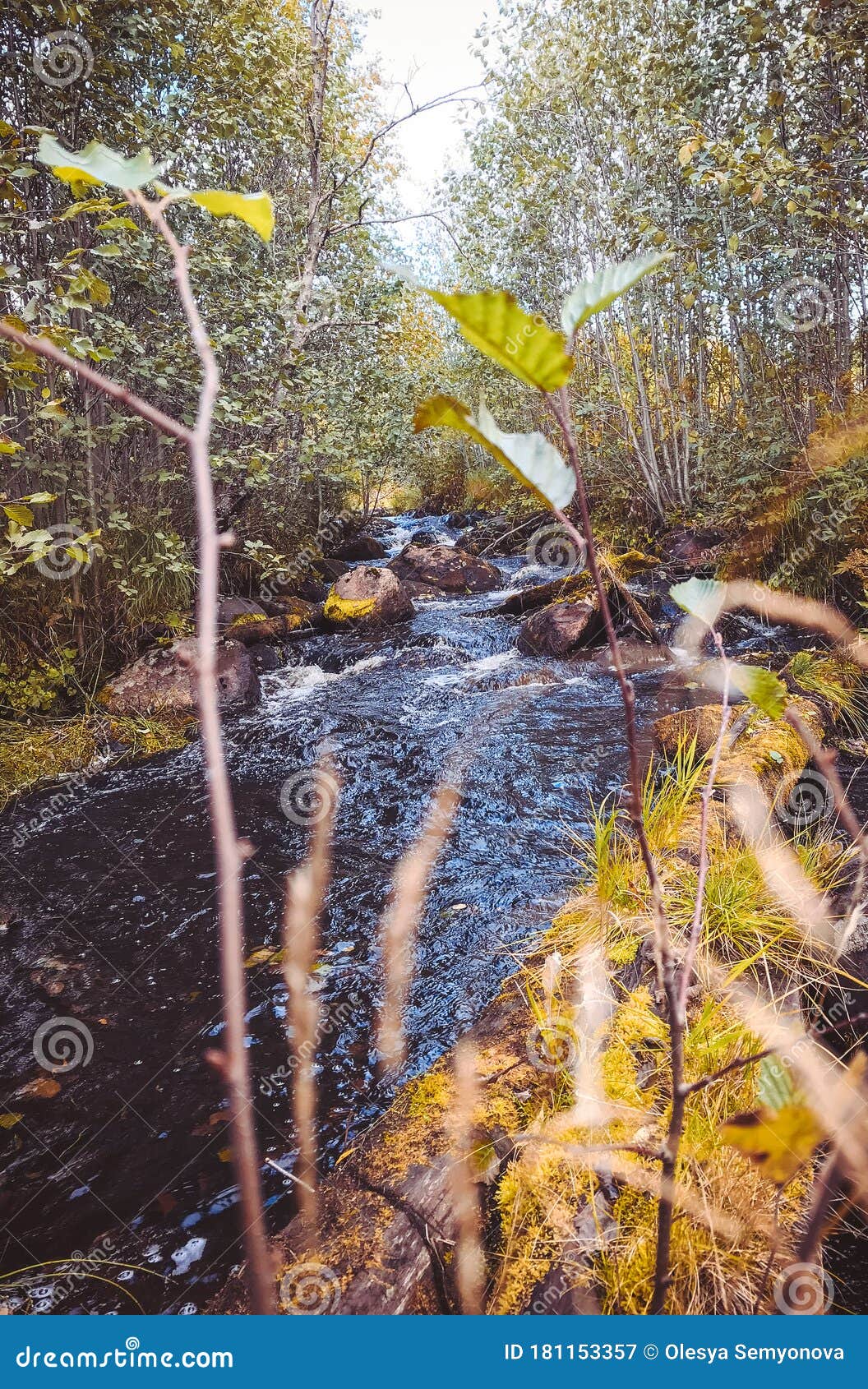 Small river stock image. Image of rivulet, river, flows - 181153357
