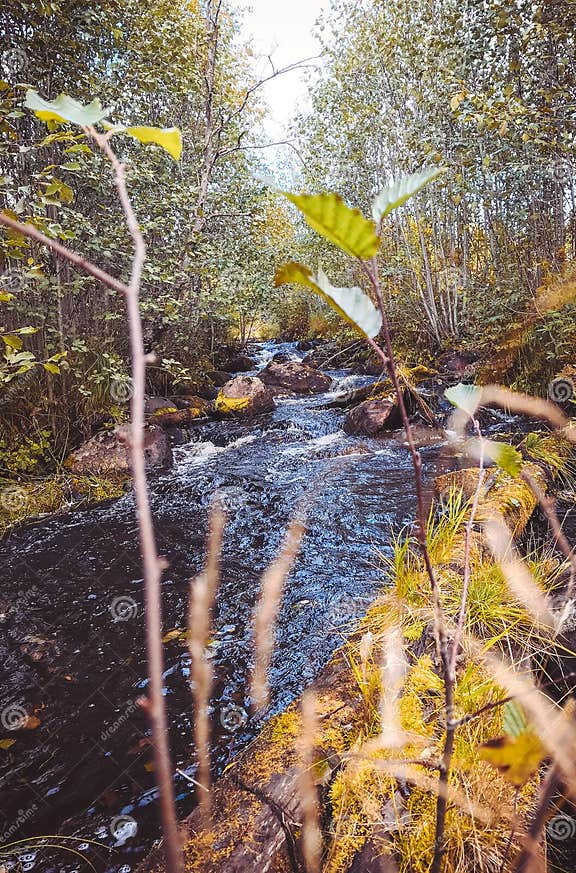 Small river stock image. Image of rivulet, river, flows - 181153357