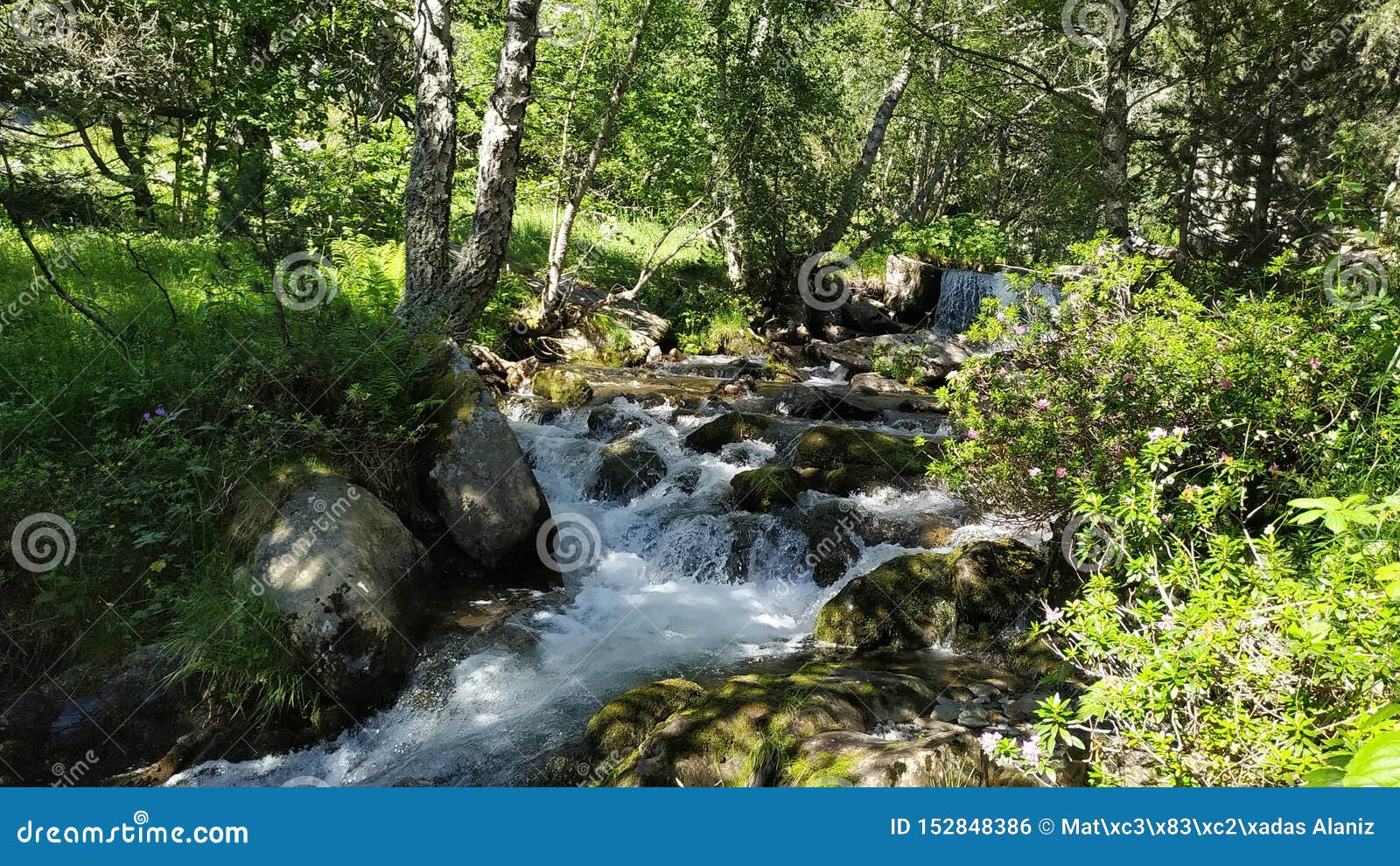 The small river stock photo. Image of rocks, small, cascade - 152848386