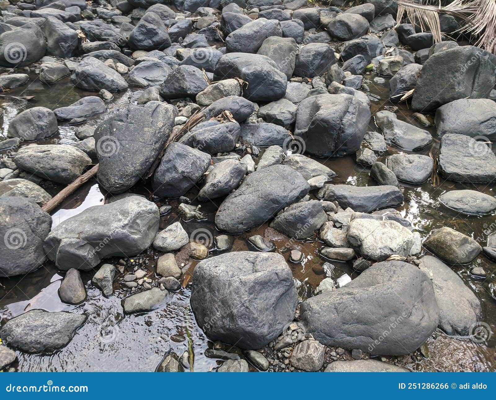 Small River Rocks at Low Tide in the Village 4 Stock Photo - Image of ...