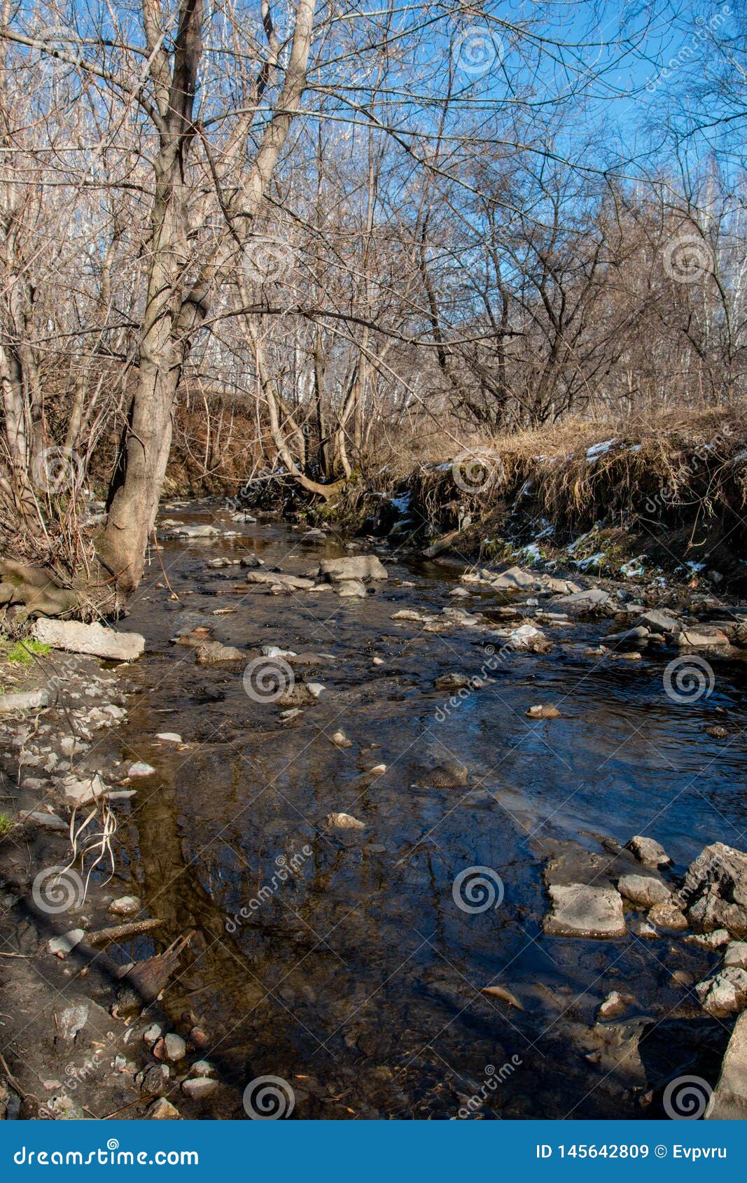 Small River with a Rocky Bottom Stock Image - Image of forest, outdoor ...