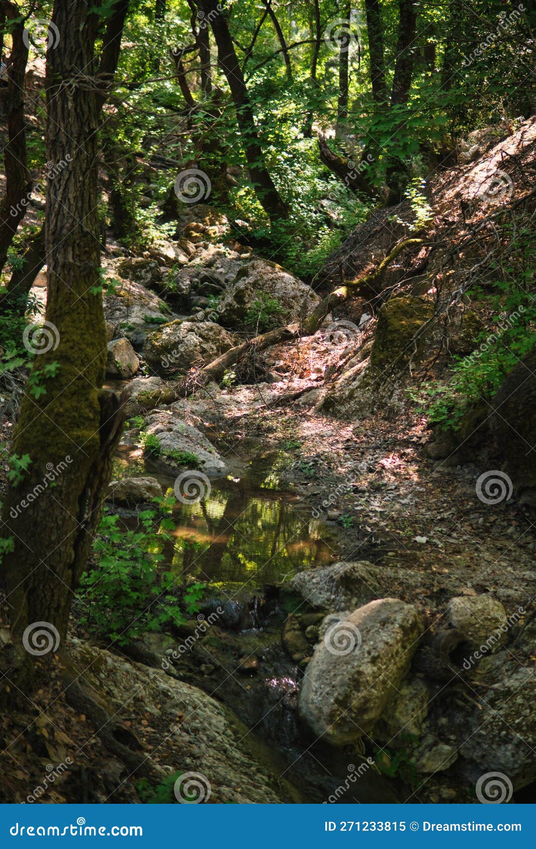 Small River in a Rocky Valley with Trees Stock Image - Image of nature ...