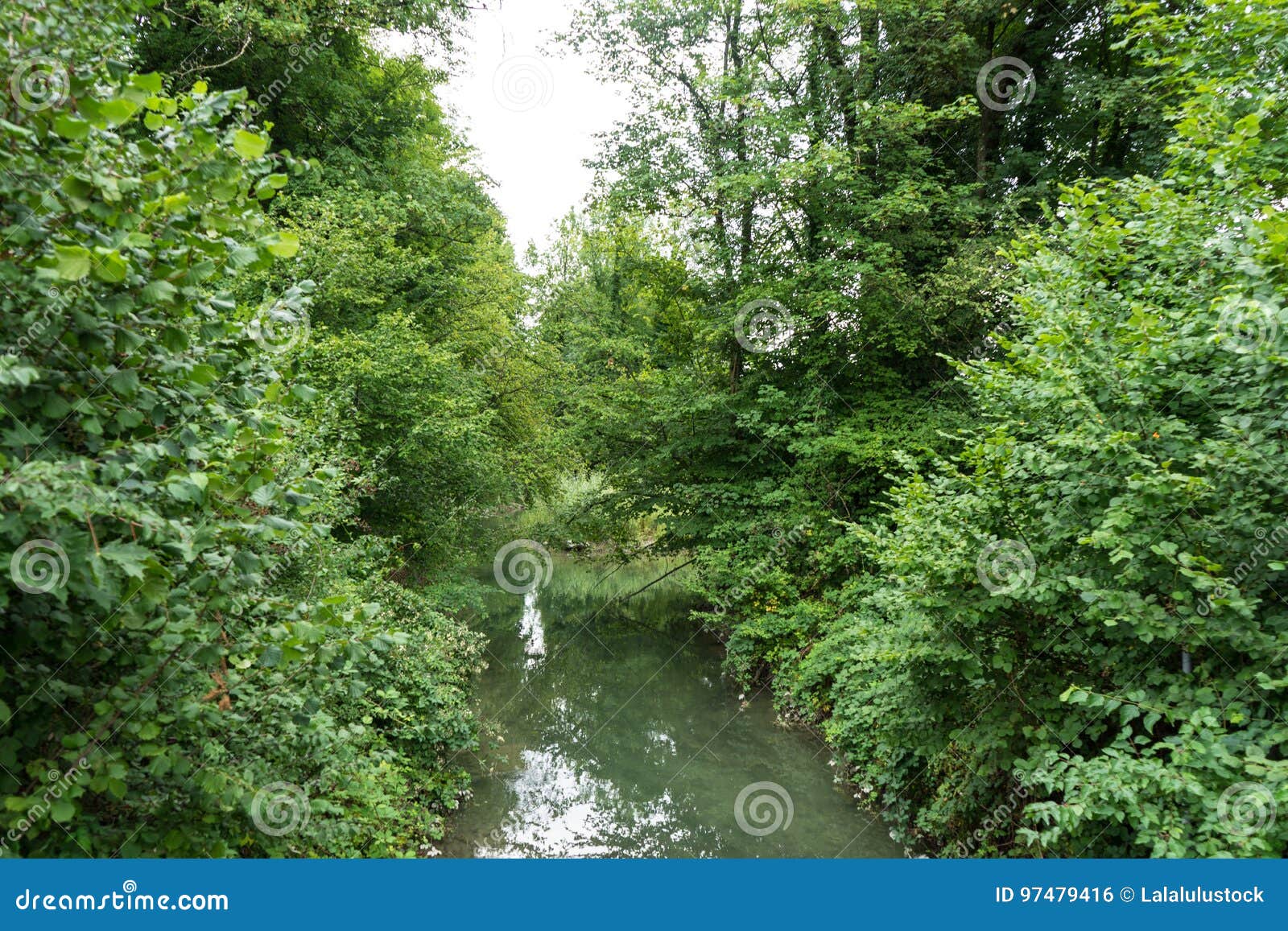 Small River Running through Forest Stock Photo - Image of beauty, scene ...
