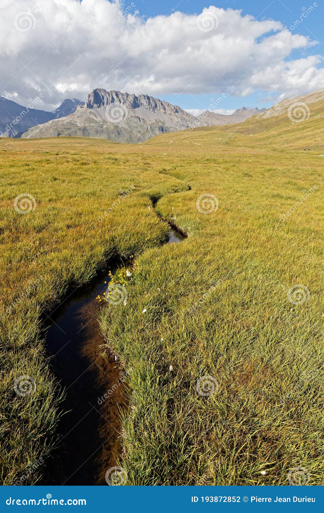 Small River Runs through the Meadows Stock Photo - Image of grass ...