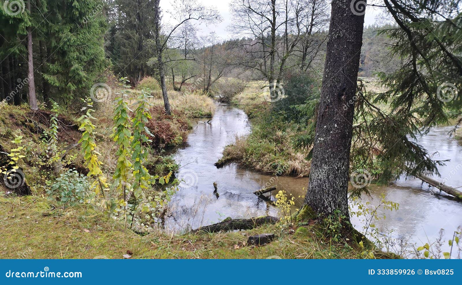 Sea Bottom. Algae Under Water. Sea In Winter. An Extraordinary View ...