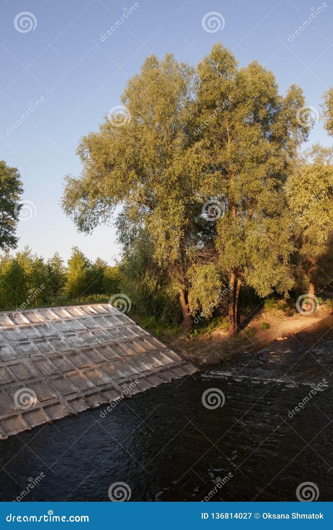 Small River Slow Flowing Across the Green Forest with Reflections of ...