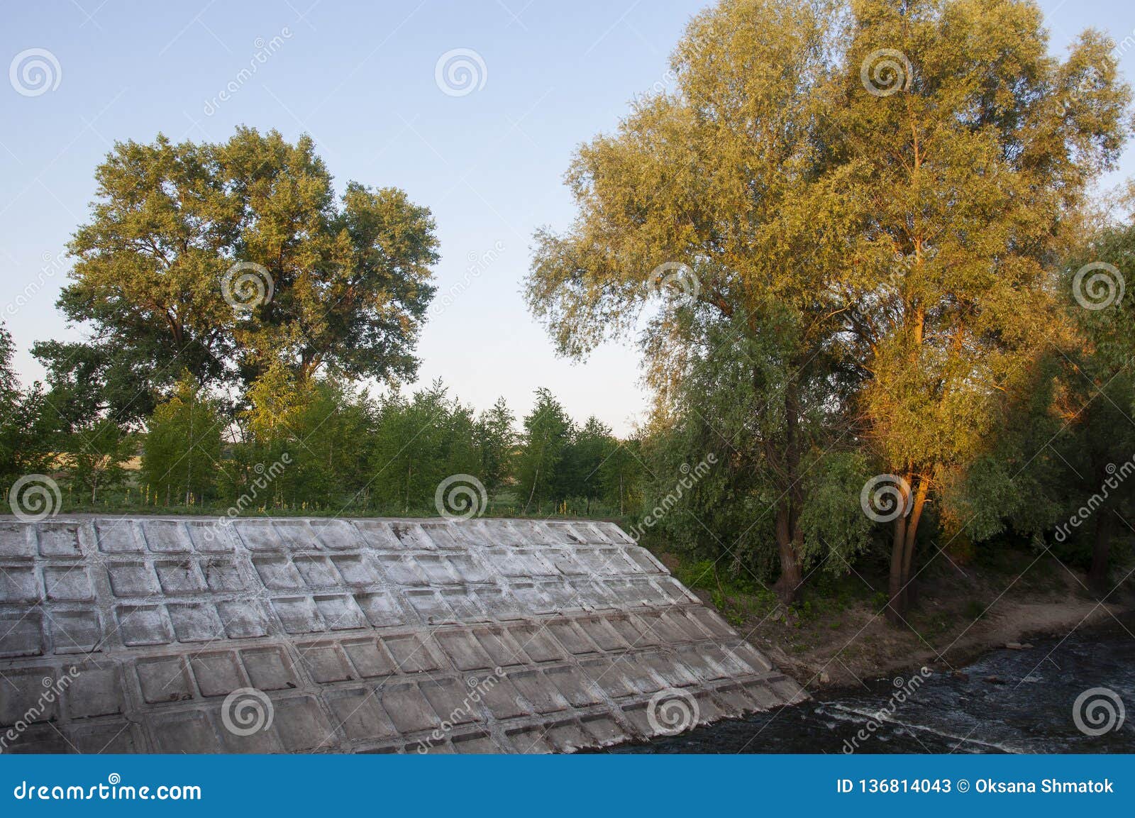 Small River Slow Flowing Across the Green Forest with Reflections of ...