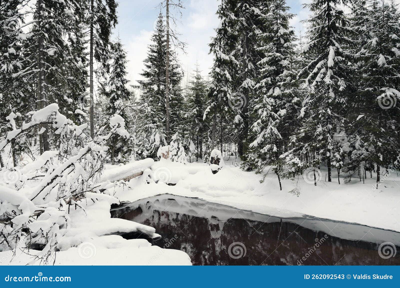 Small River in Snowy Forest during Cold Winter Stock Image - Image of ...