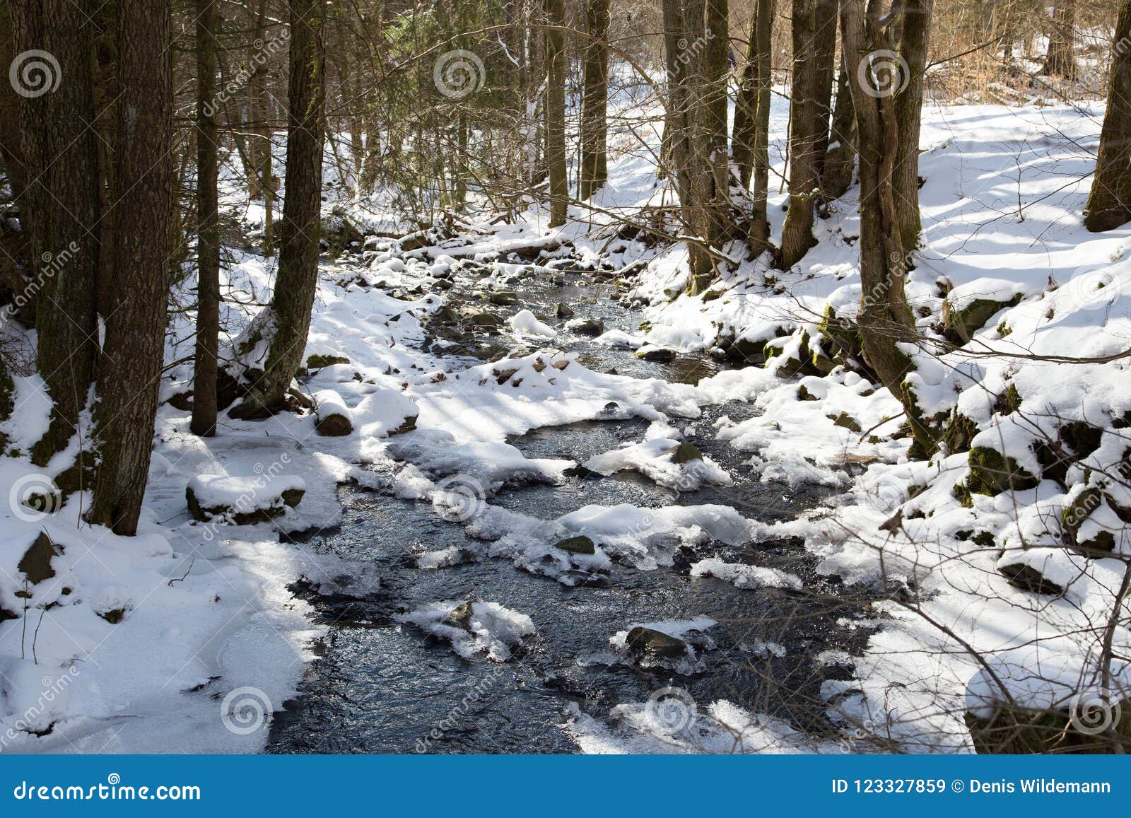 Small River in the Snowy Forest Stock Image - Image of wood, scene ...