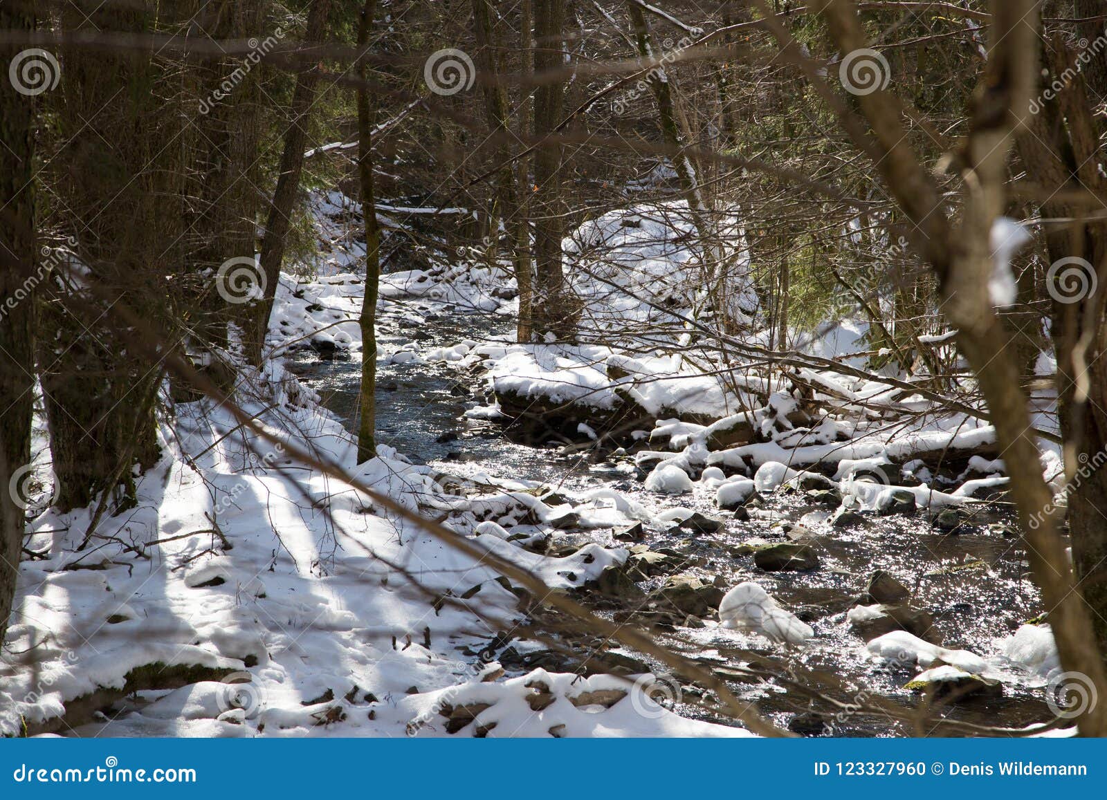 Small River in the Snowy Forest Stock Photo - Image of scenic ...