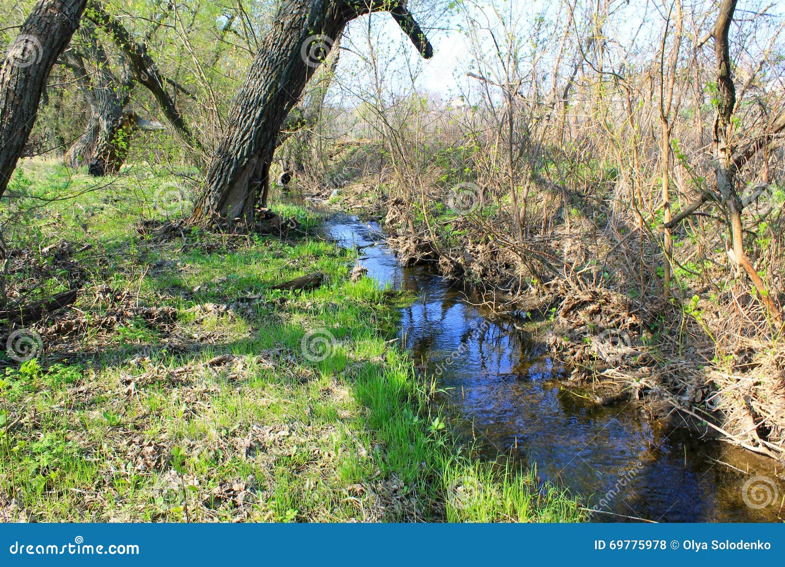 Small river on spring stock photo. Image of flowing, flowers - 69775978