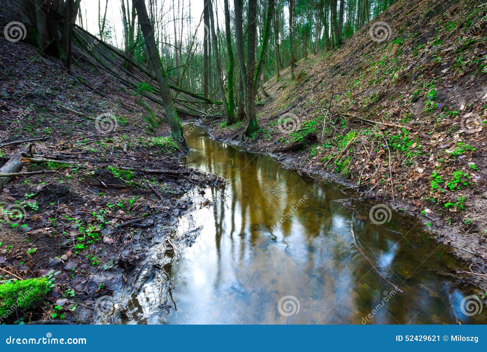 Small River in Springtime Forest Stock Image - Image of countryside ...