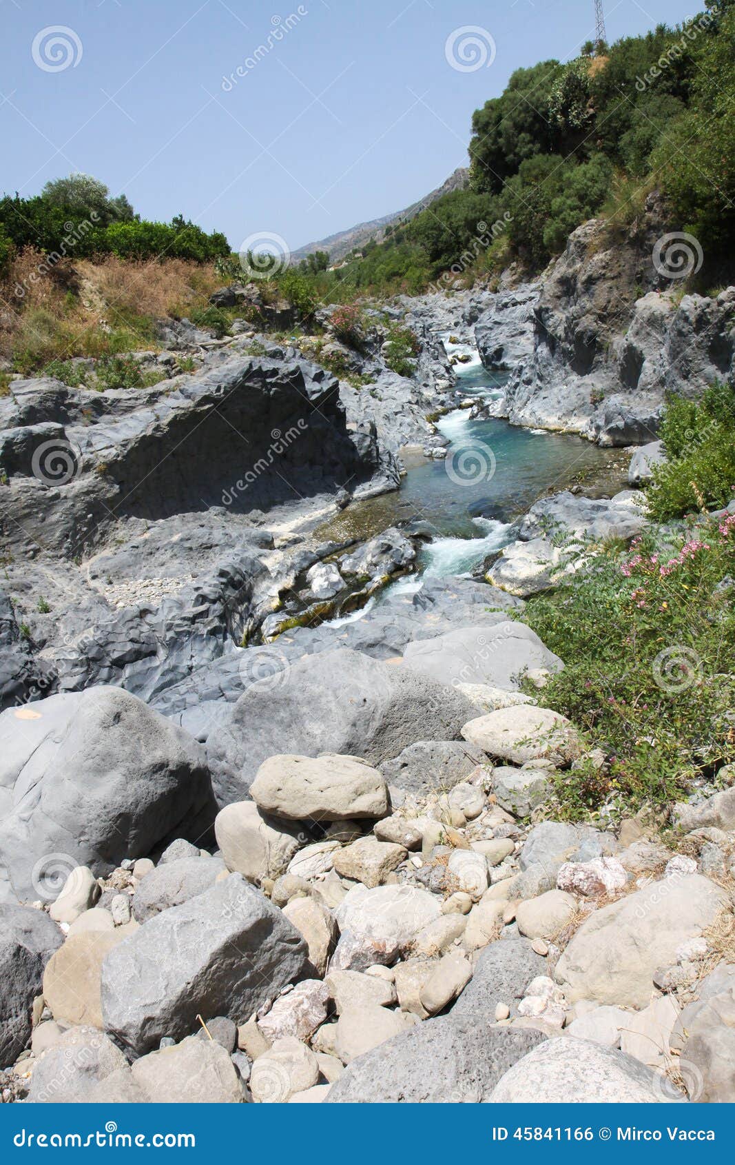 Small river stock photo. Image of green, water, landscape - 45841166