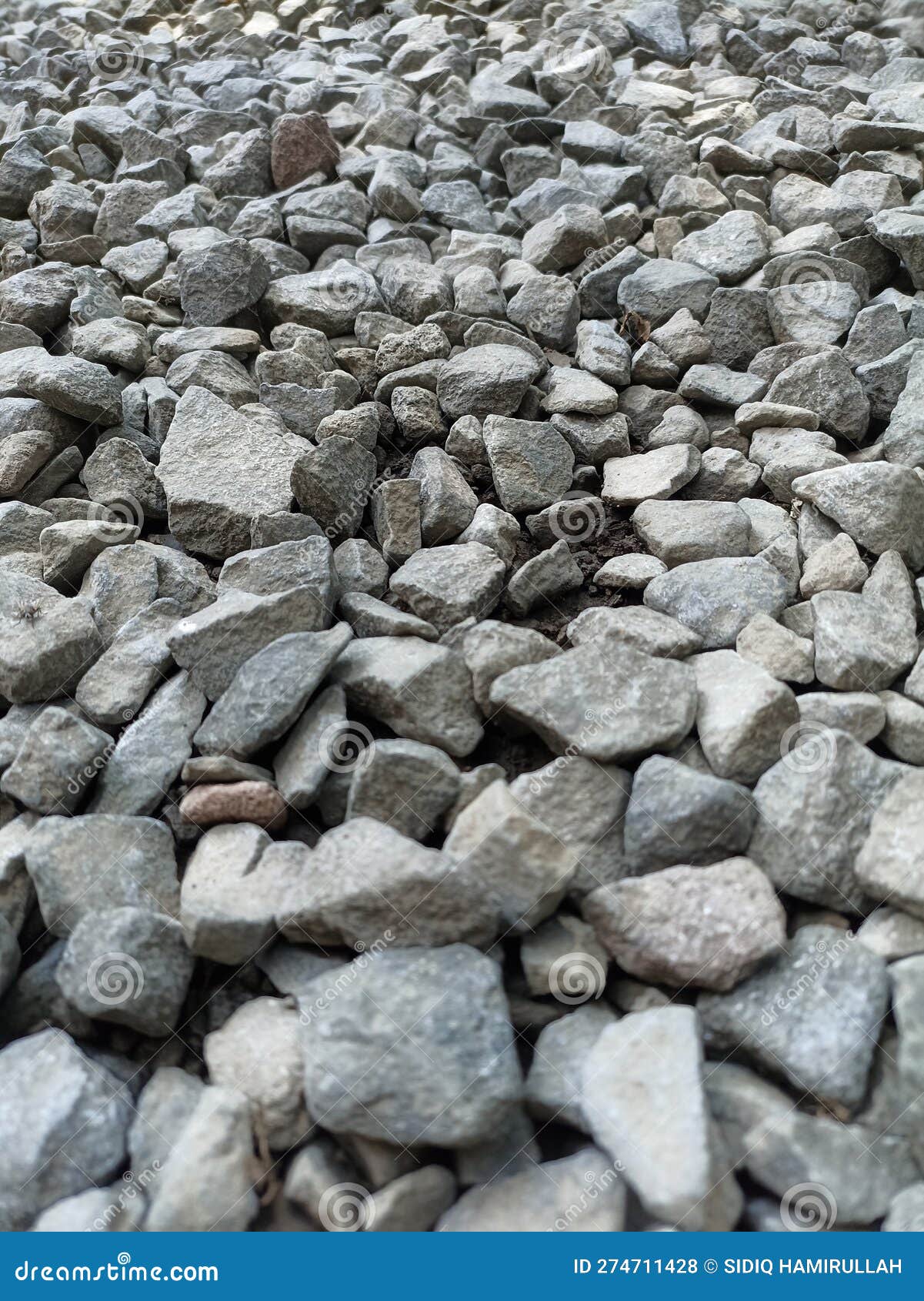 Small River Stones Along the Way Stock Photo - Image of stones, small ...