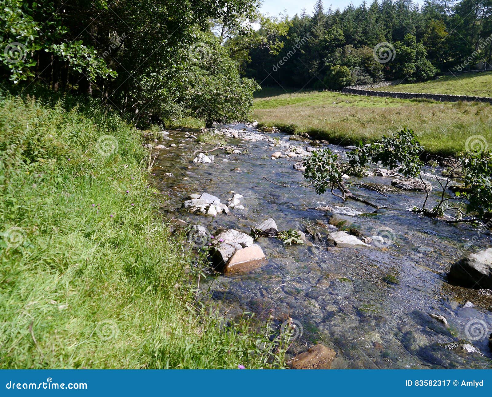 Small river with stones stock image. Image of pastoral - 83582317