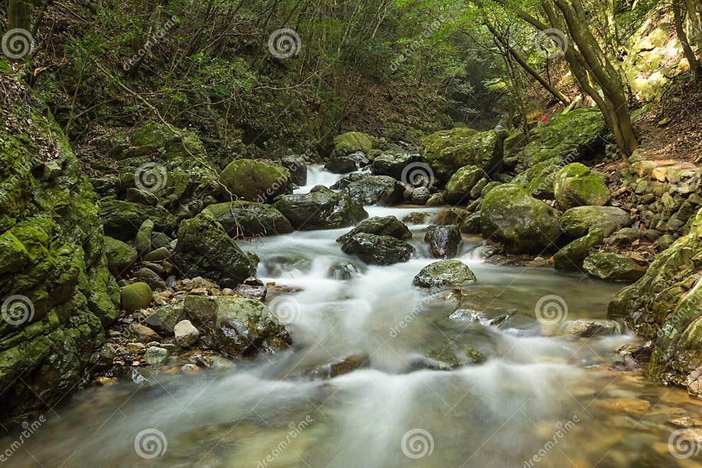 Small River with Stream in the Forest Stock Image - Image of rocky ...