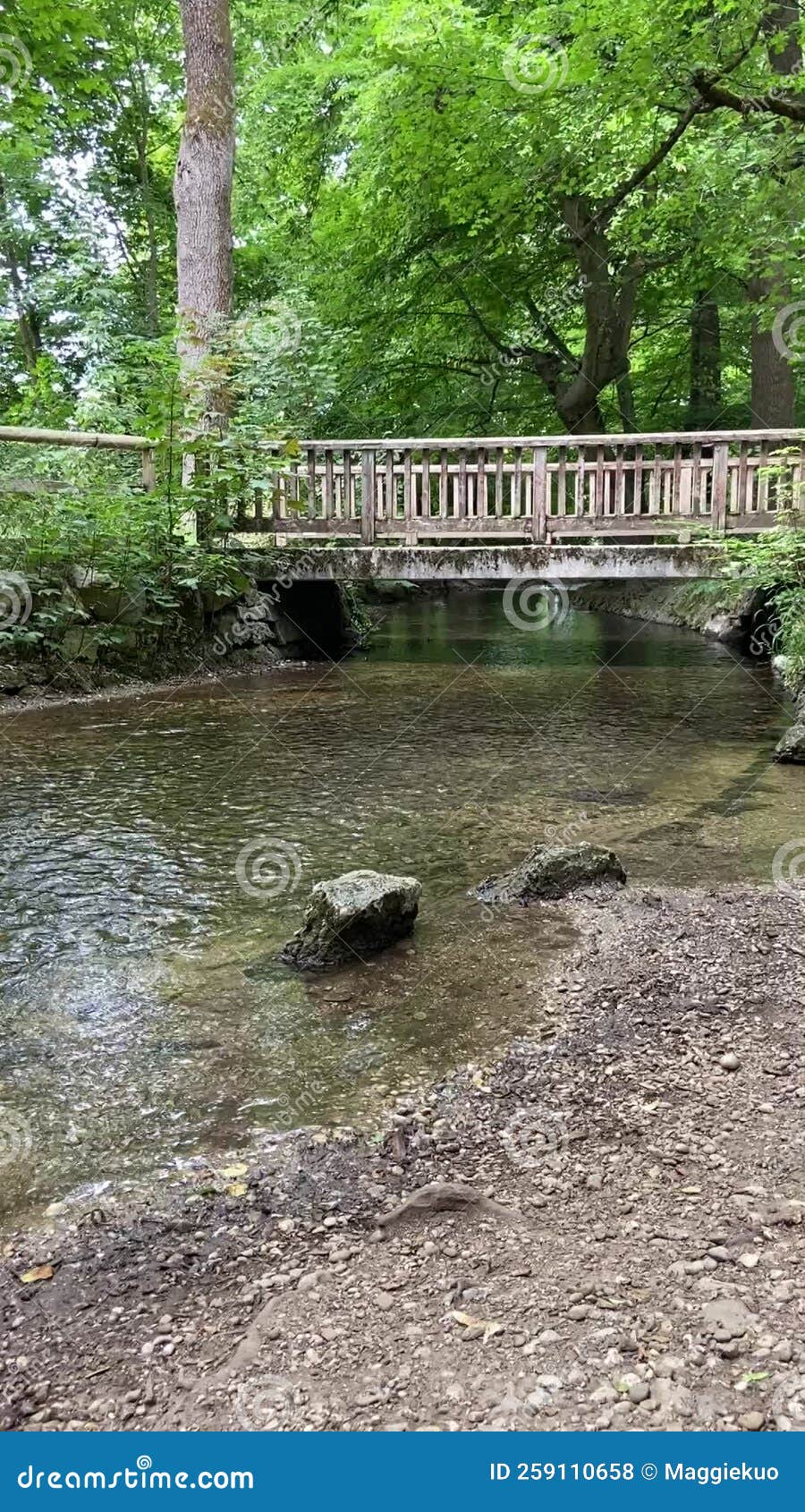 Small River Stream Under a Wooden Bridge in Summer Stock Footage ...