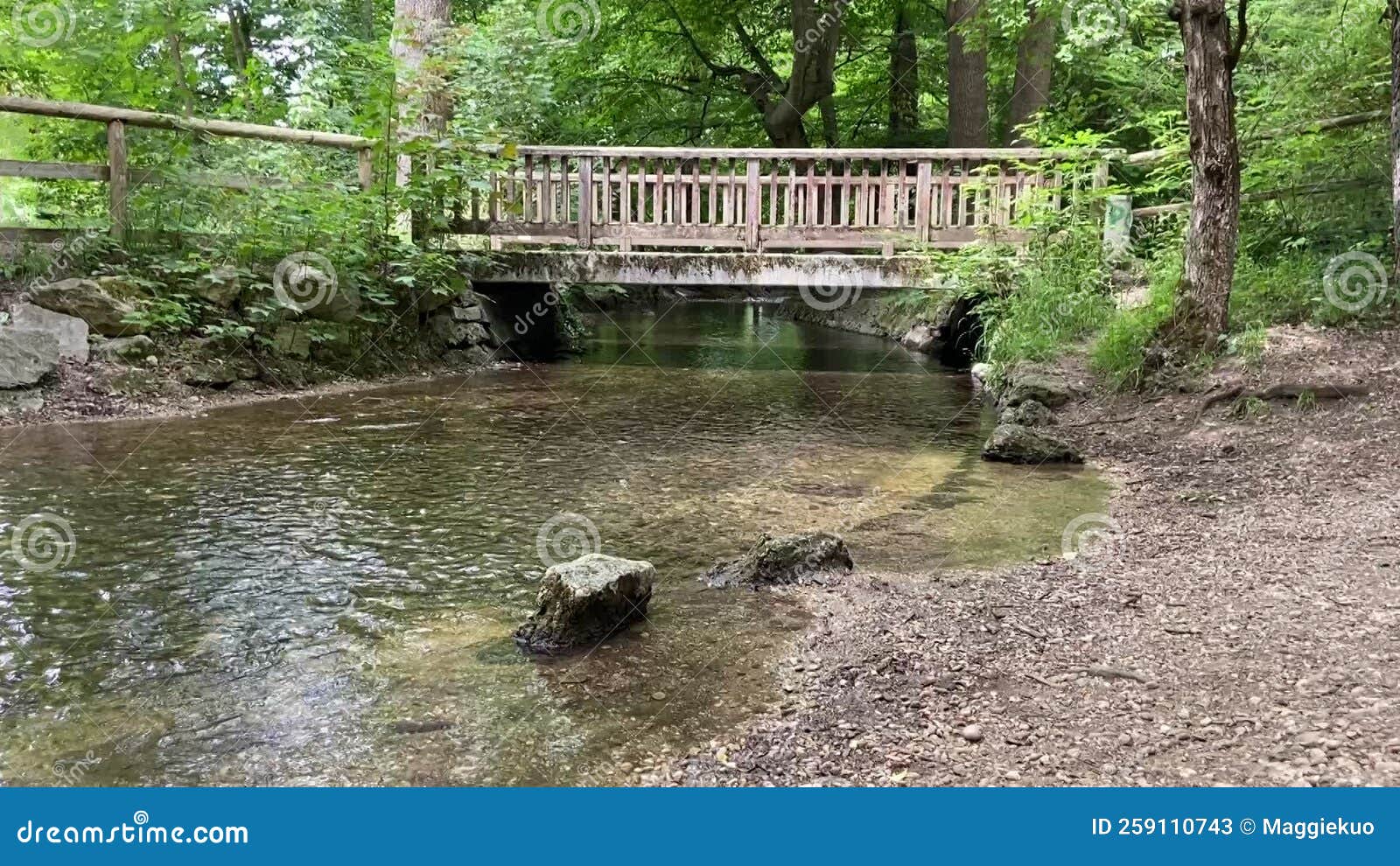 Small River Stream Under a Wooden Bridge in Summer Stock Video - Video ...