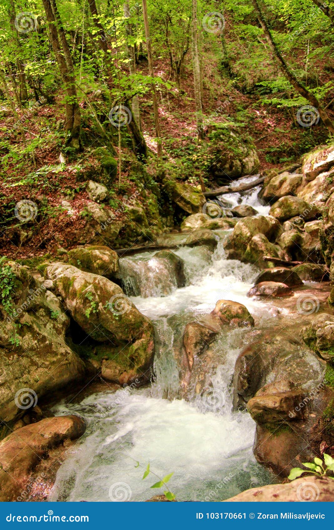 Small River Stream Waterfall in the Forest Natural Environment Stock ...