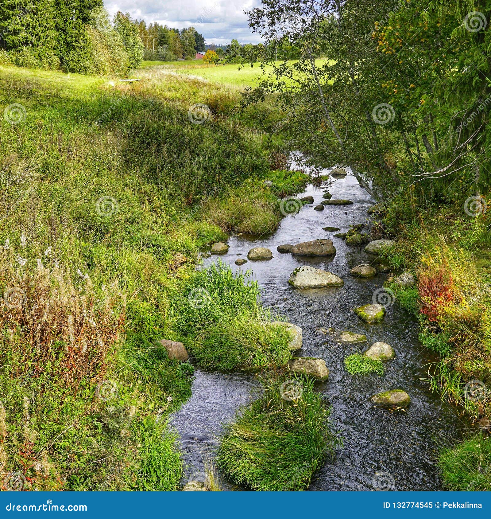 Small river between fields stock image. Image of rocks - 132774545