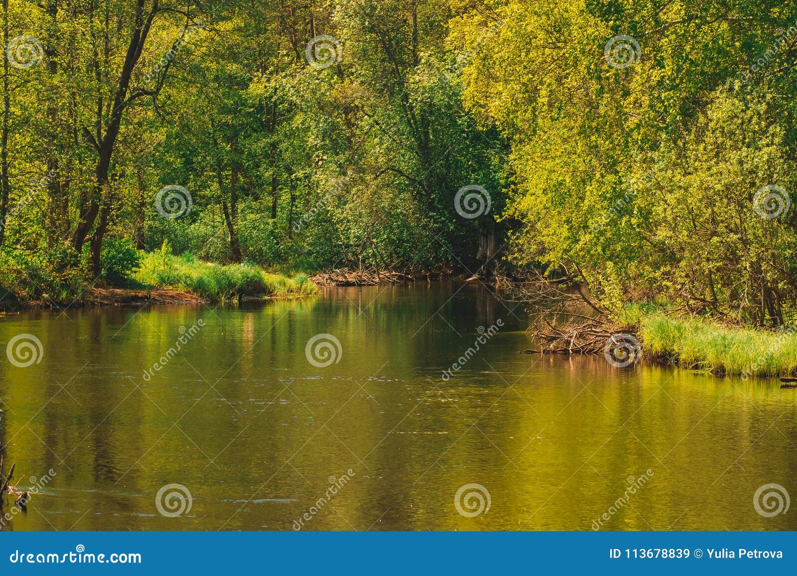 The Small River in Summertime.narrow River and Grass Growing on the ...