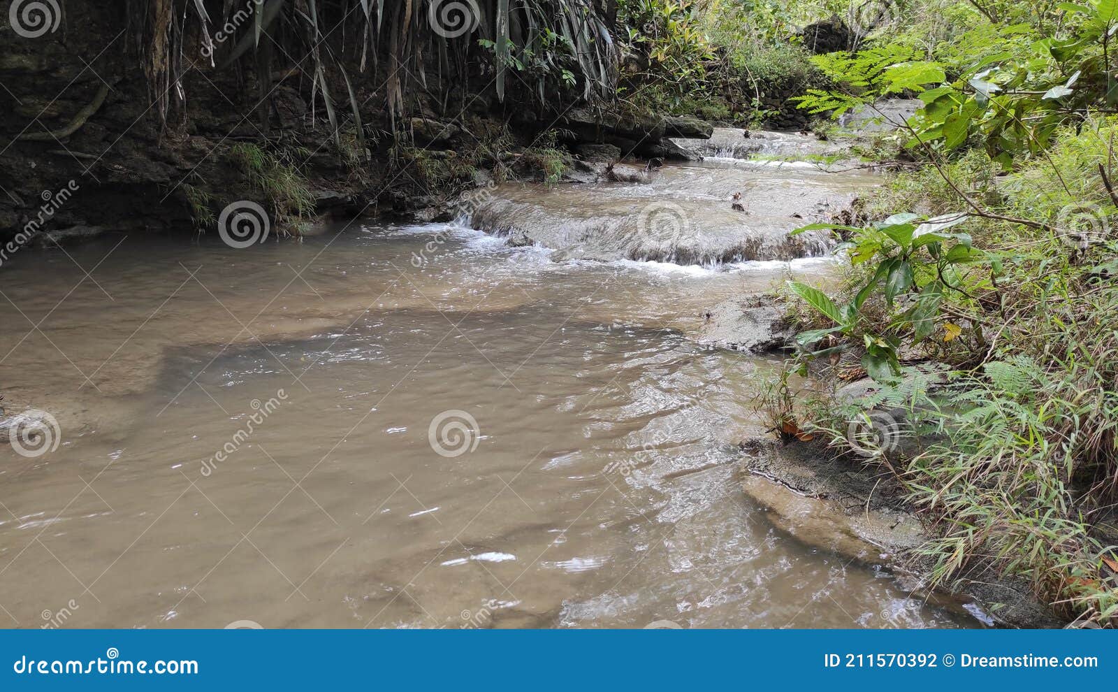 Small River with Super Clean Water Stock Photo - Image of stream, pond ...