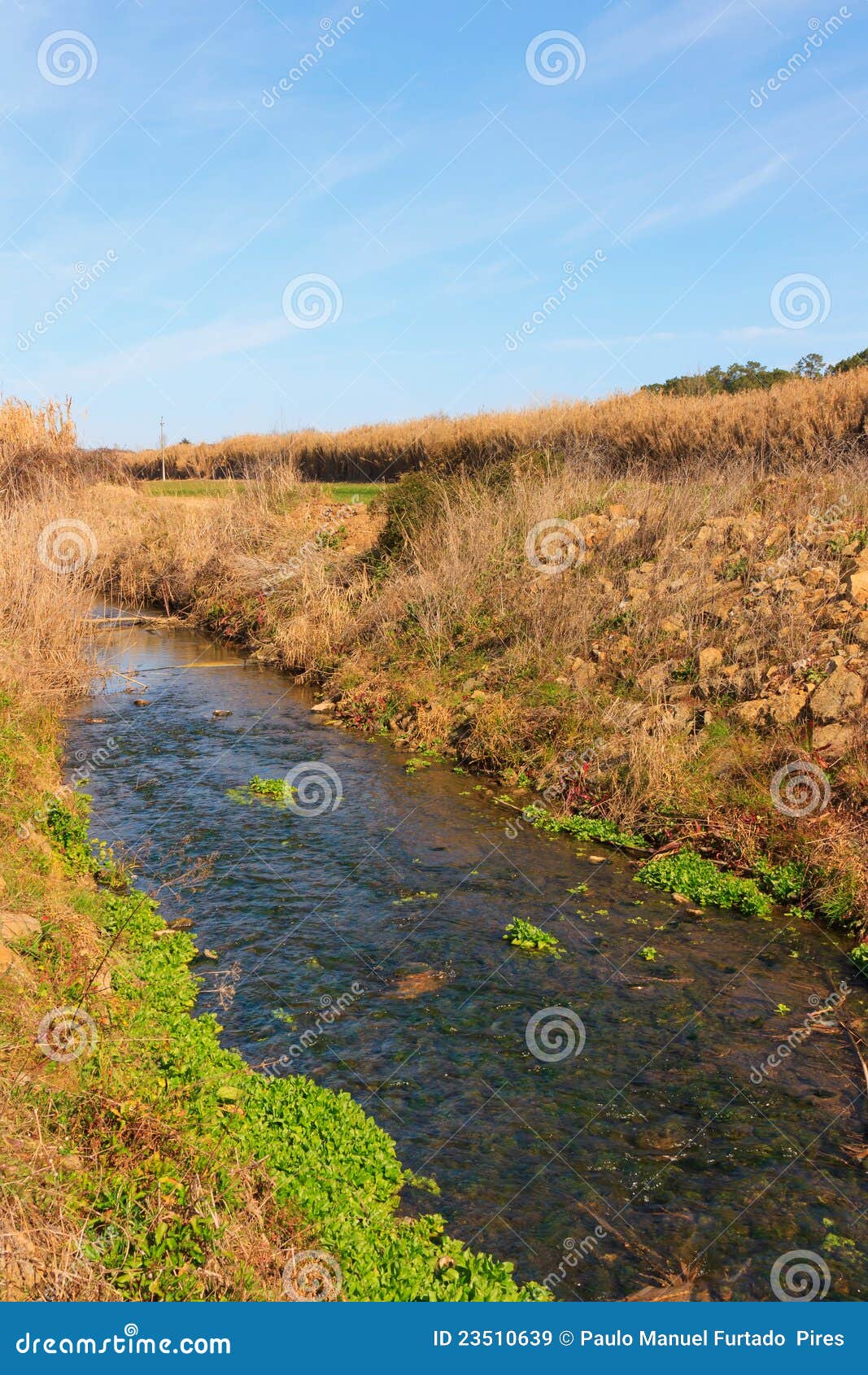 Small river trough woods stock image. Image of portugal - 23510639