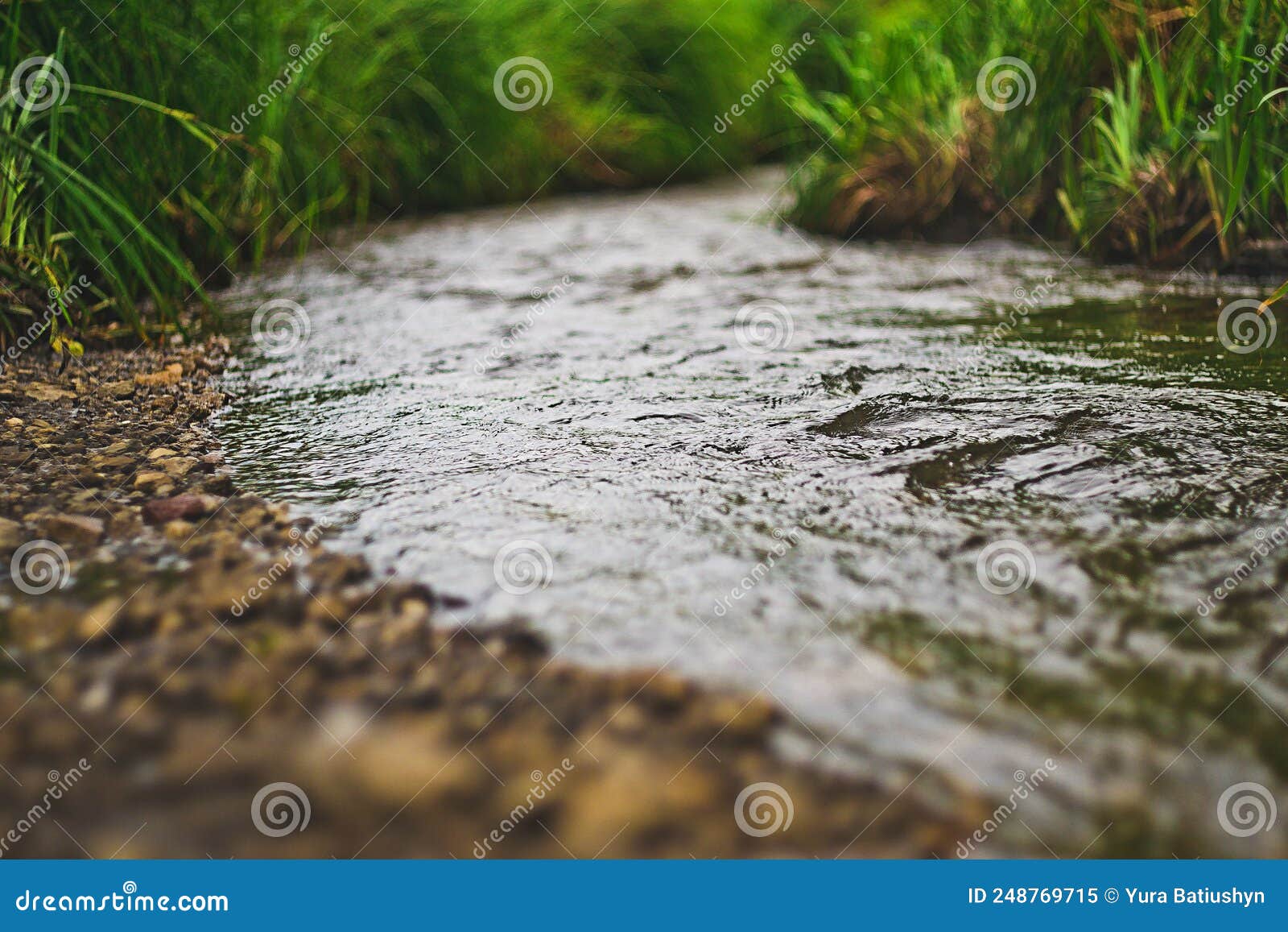 Small River in the Village in the Evening Stock Image - Image of leaf ...