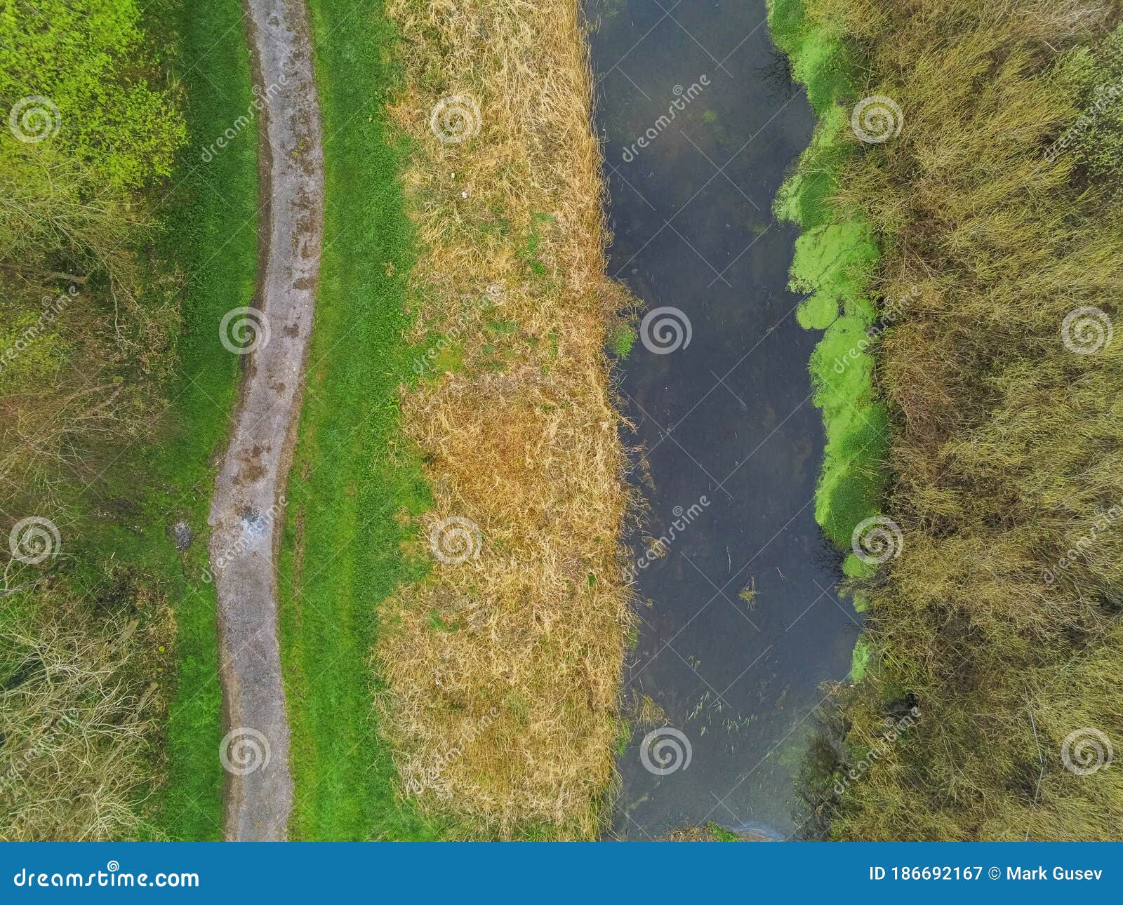 Small River and Walking Path in a Park, Aerial Top Down View Stock ...