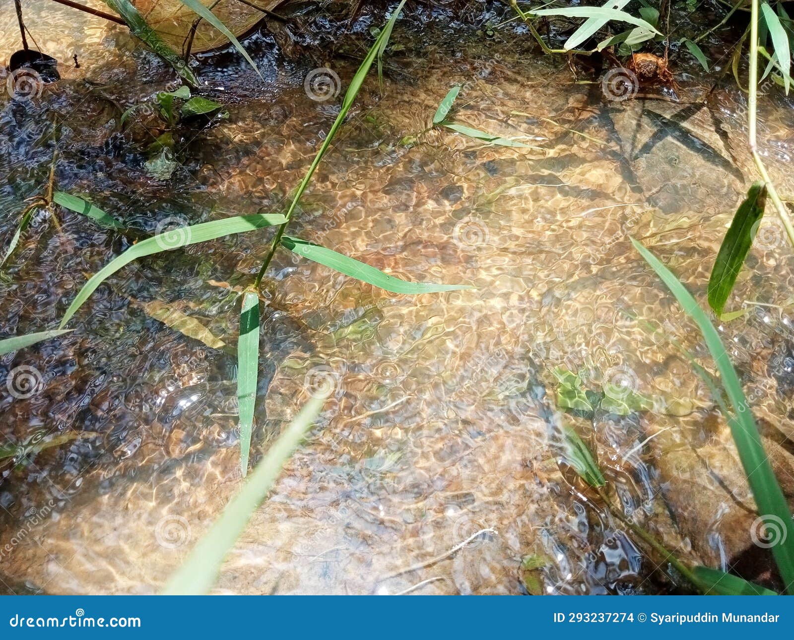 A Small River Whose Water is Very Clear is Receding Due To the Dry ...