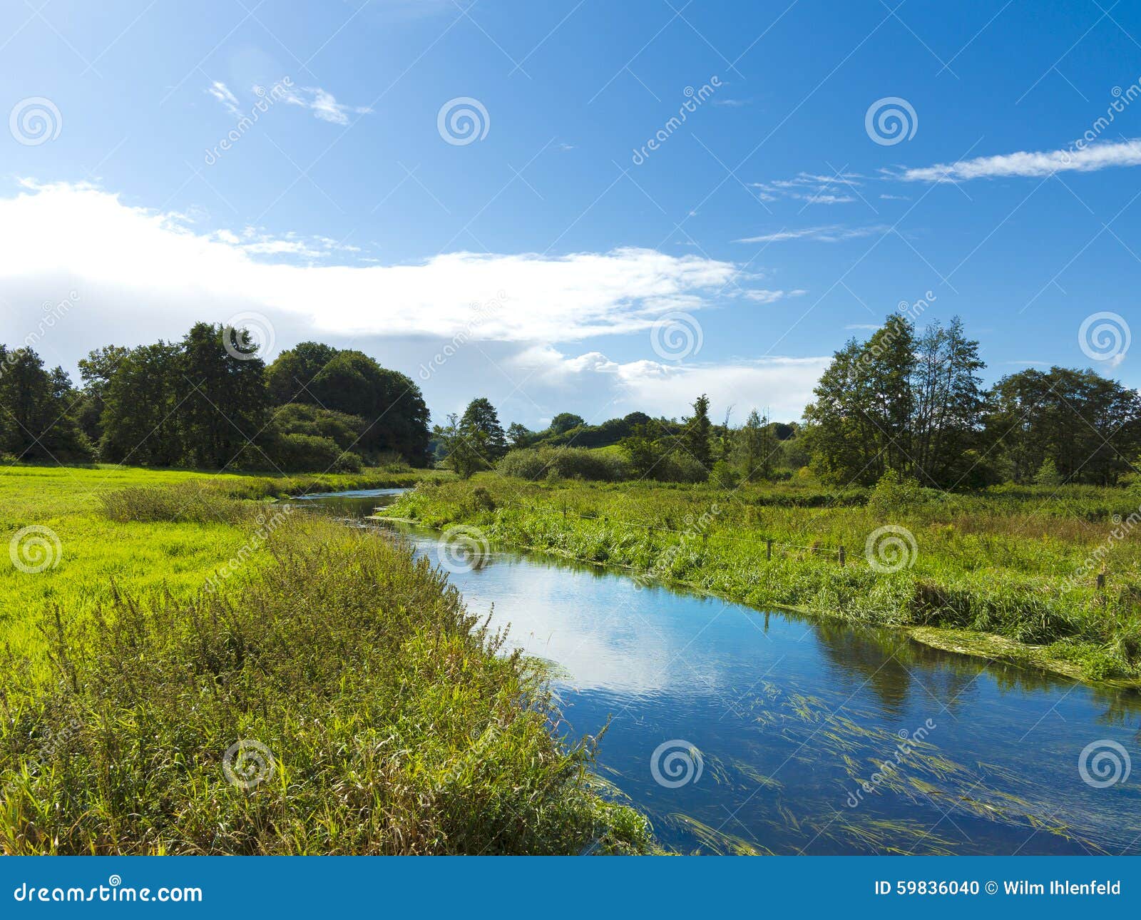 Small river stock photo. Image of holstein, outdoors - 59836040