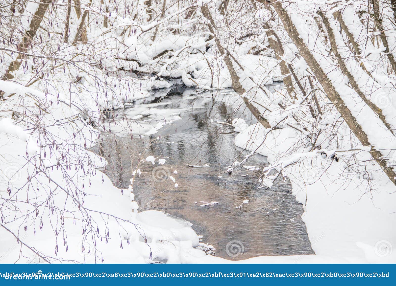 A Small River in Winter . Winter Landscape. Water in Rivers. Winter ...