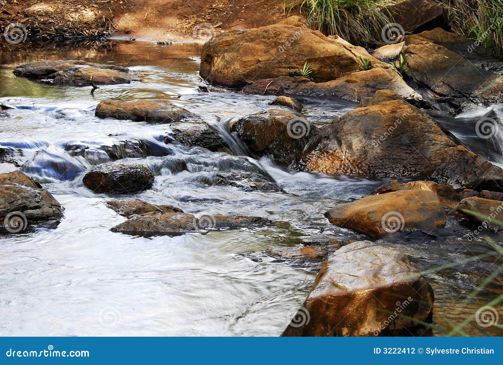 Small rivers stock photo. Image of calme, nature, pacific - 3222412