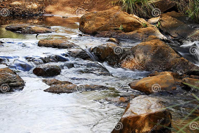Small rivers stock photo. Image of calme, nature, pacific - 3222412