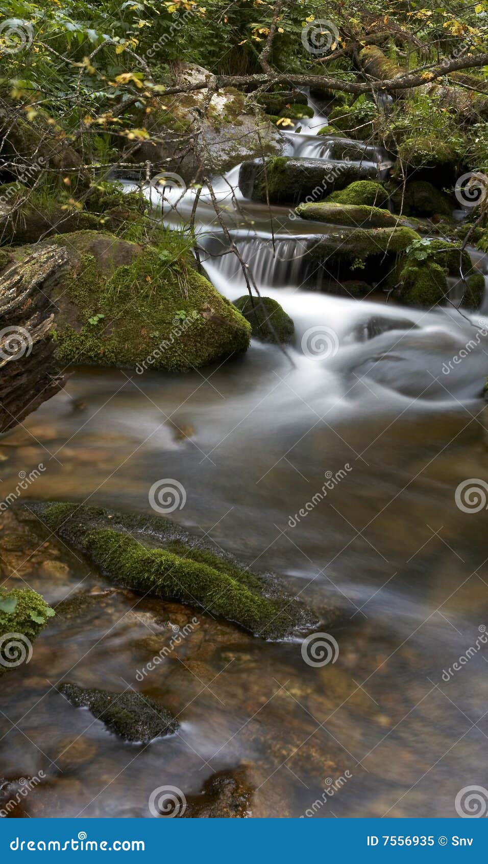 Small rivers stock image. Image of river, summer, mountain - 7556935