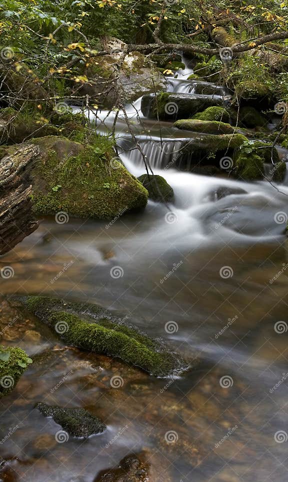 Small rivers stock image. Image of river, summer, mountain - 7556935