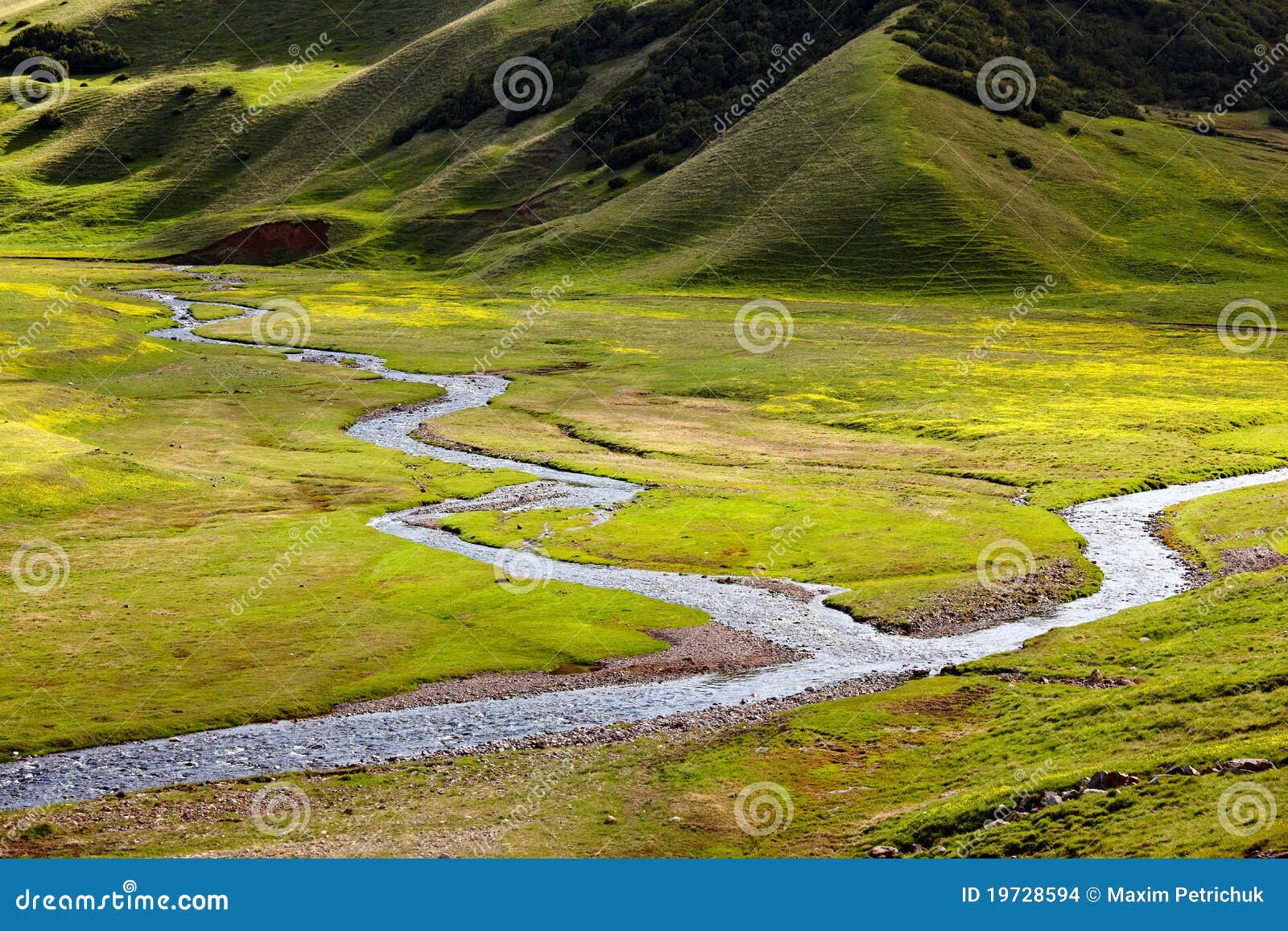 Small Rivers in Alpine Meadows Stock Photo - Image of terrain, liquid ...