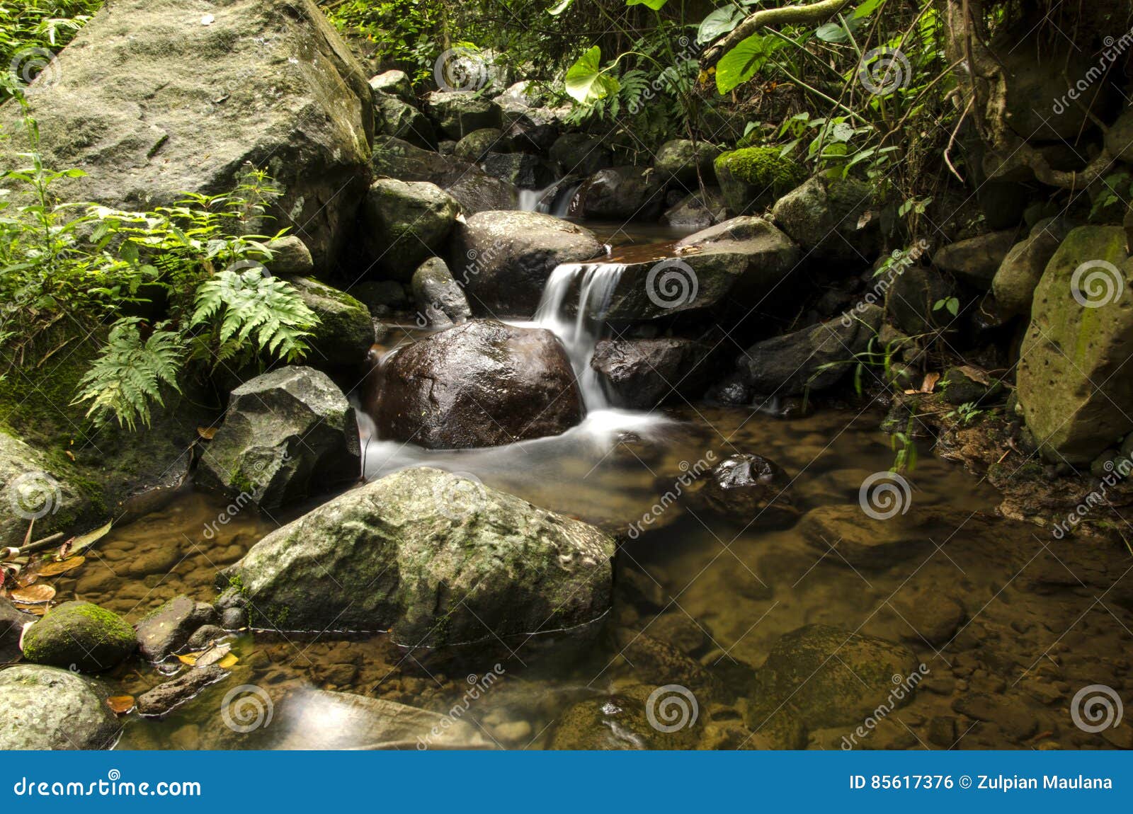 Small Rivers and Clear Water Stock Photo - Image of java, asian: 85617376