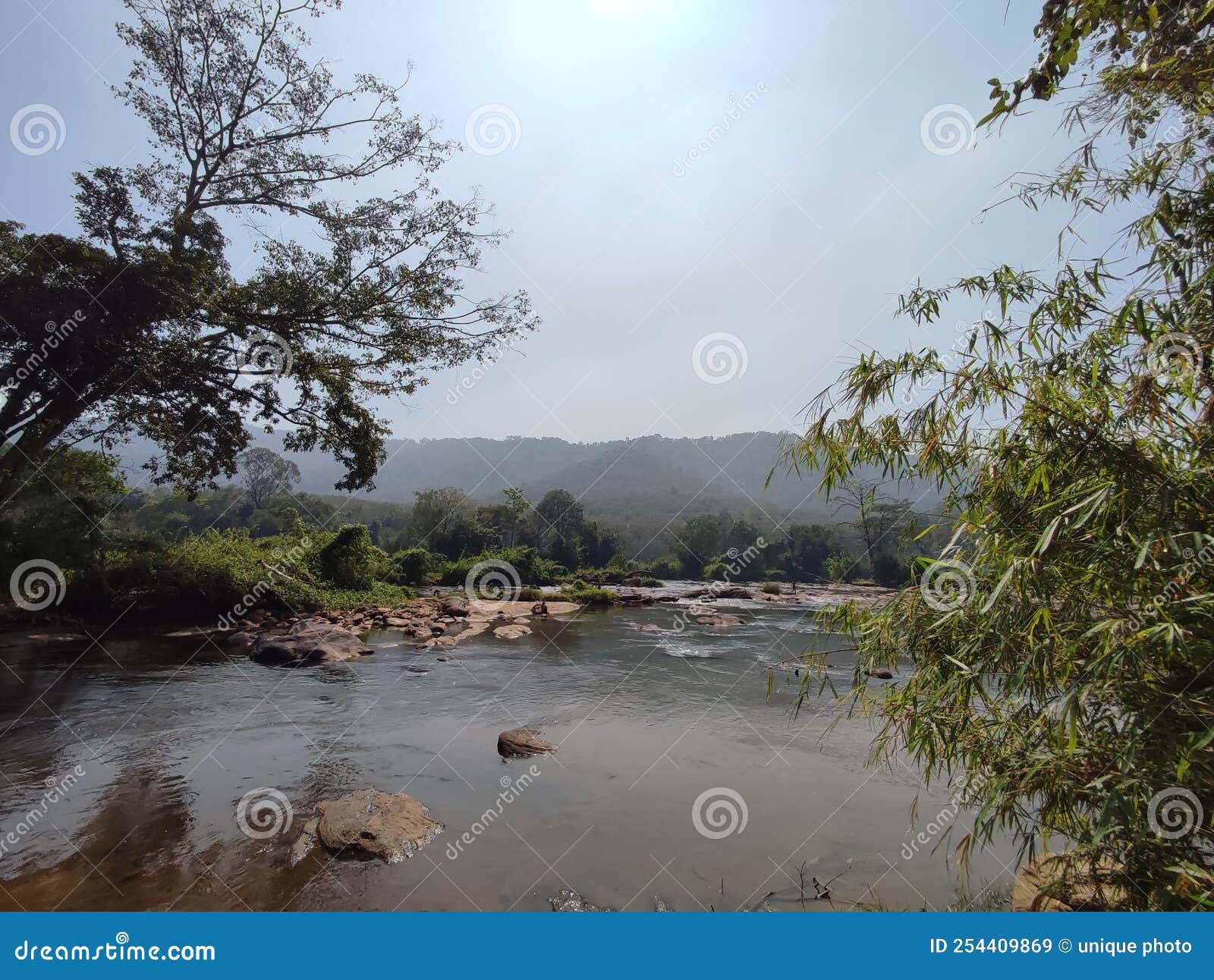 Small rivers in Kerala stock image. Image of shore, coast - 254409869