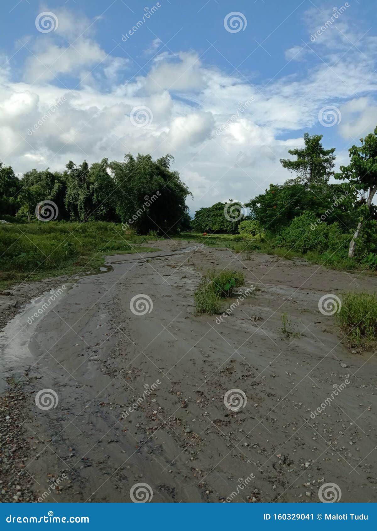 Small Rivulets with Clouds Blue Sky Tree Stock Image - Image of ...