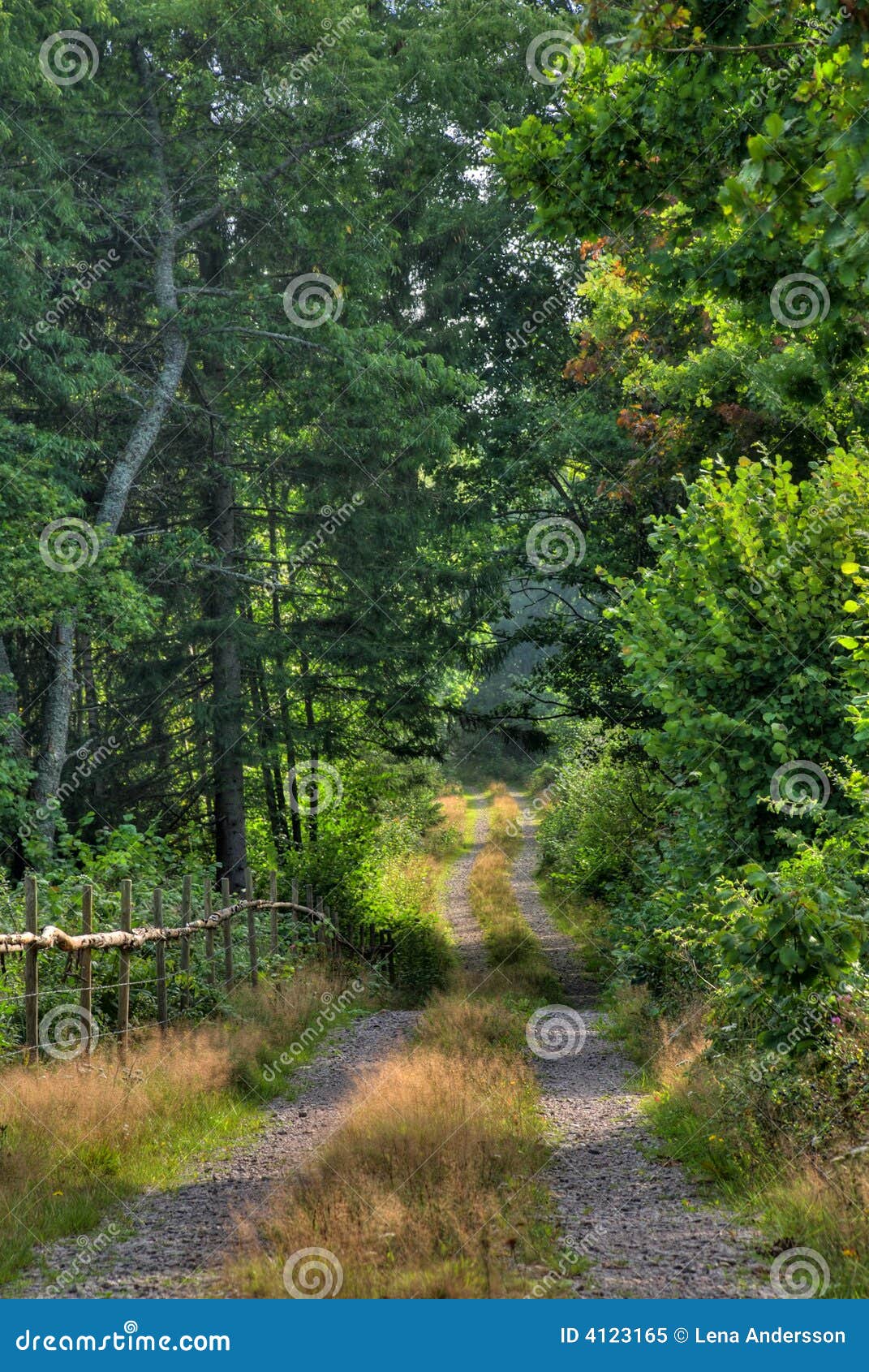 Small Road Stone Background, Dark Gravel Pebbles Stone Texture Seamless ...