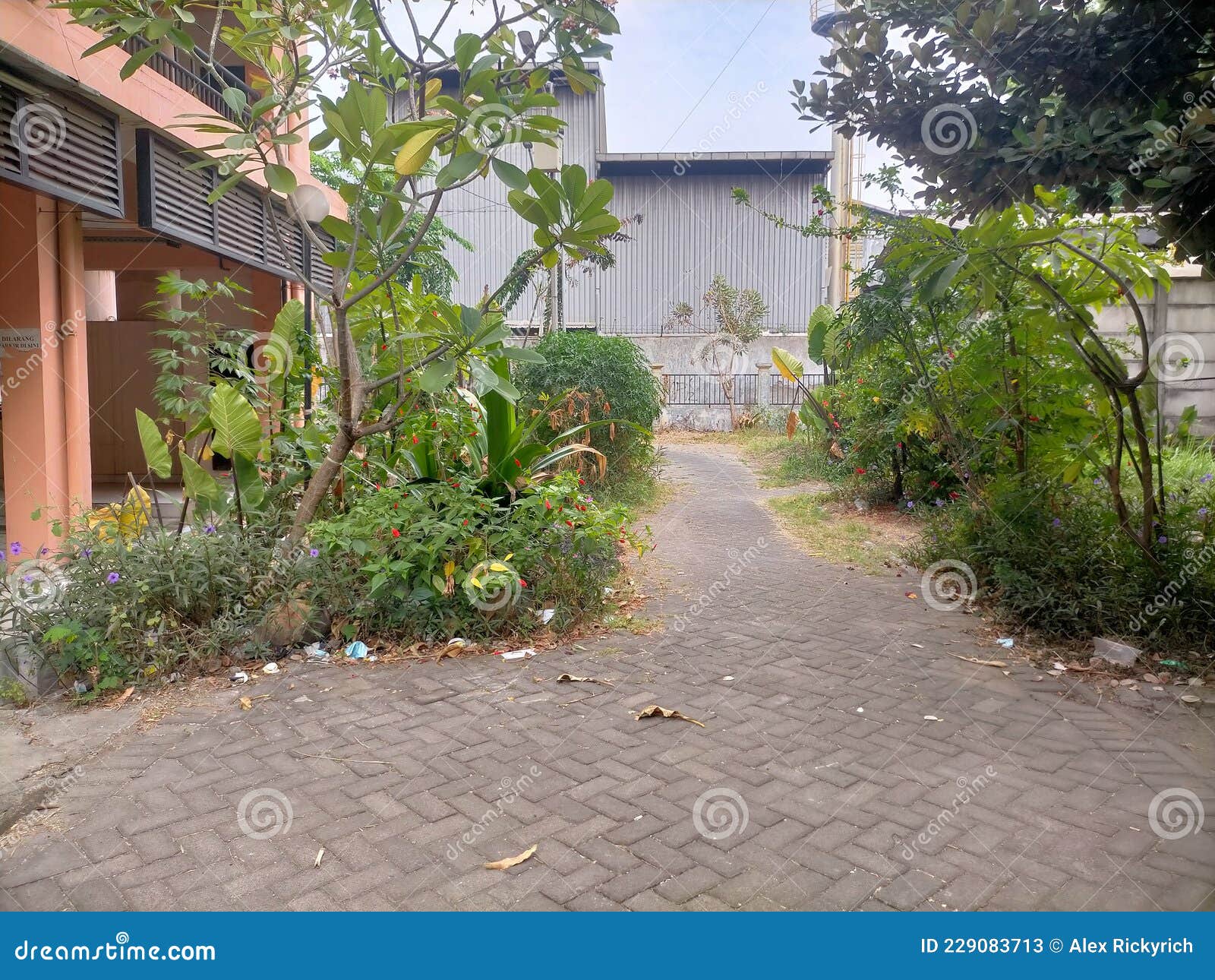 Small Road Behind the House Stock Image - Image of house, small: 229083713