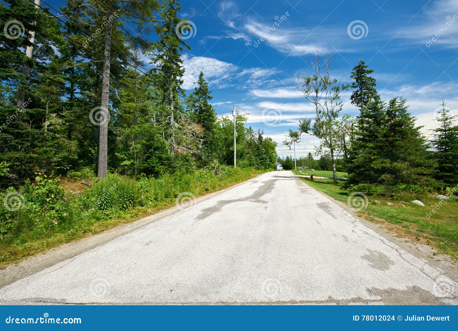 Small road and forest stock photo. Image of cstine, america - 78012024