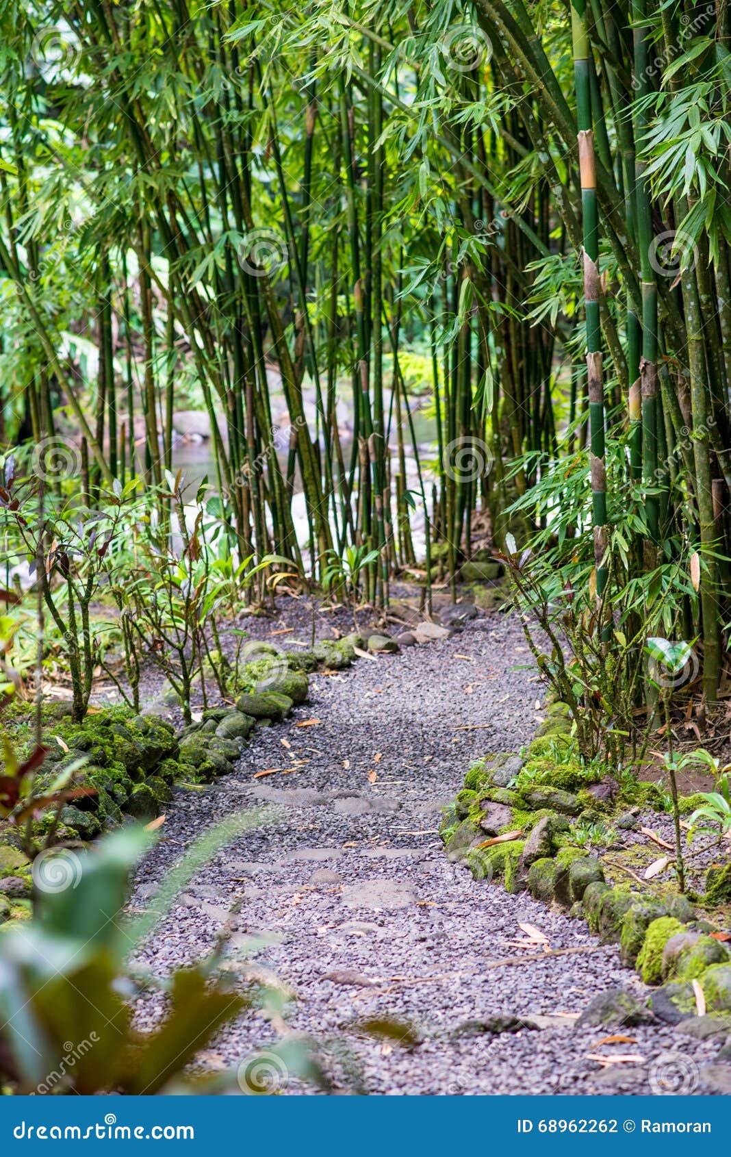 Small Road Stone Background, Dark Gravel Pebbles Stone Texture Seamless ...