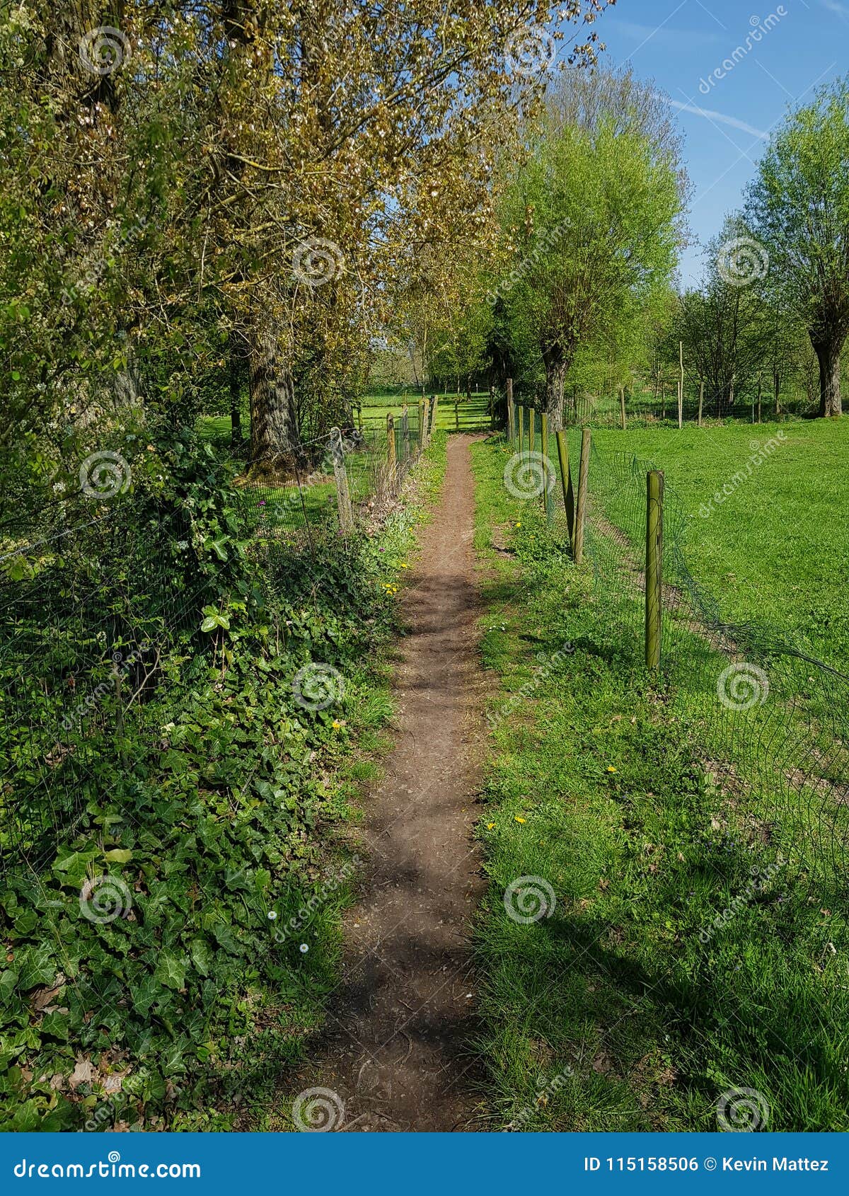 Small road stock photo. Image of country, green, small - 115158506